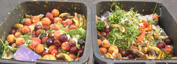 F BKP Report Reducing Food Wastage Improving Food Security Food 