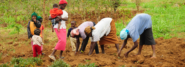 Cross-cutting challenges to food security - Knowledge Portal - Food ...