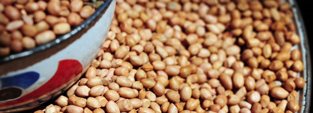 Upscaling improved groundnut varieties - Ghana & Mali - Food & Business ...